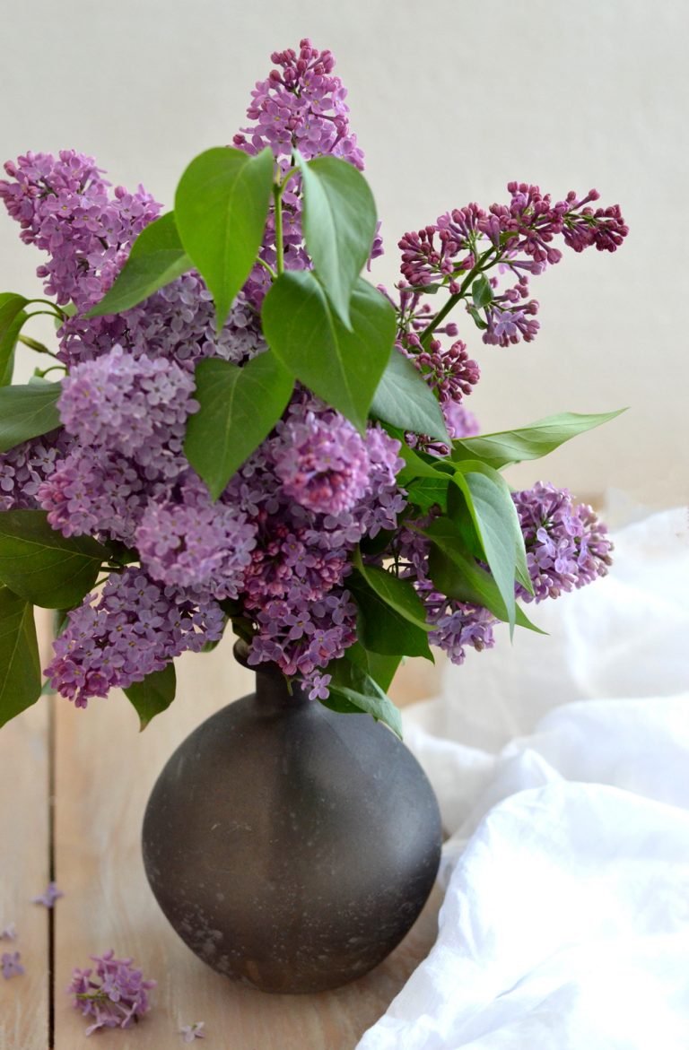 Chic decorating with lilac and unique DIY French vases - Dreams Factory