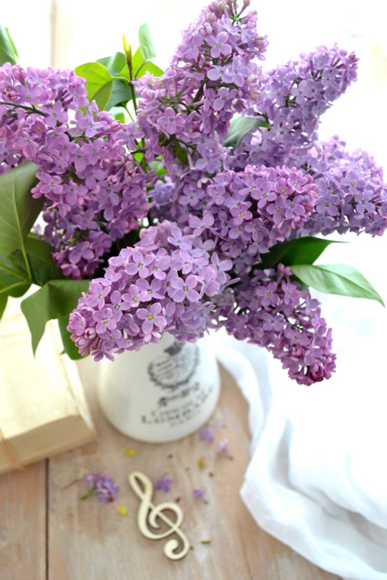 Chic decorating with lilac and unique DIY French vases - Dreams Factory